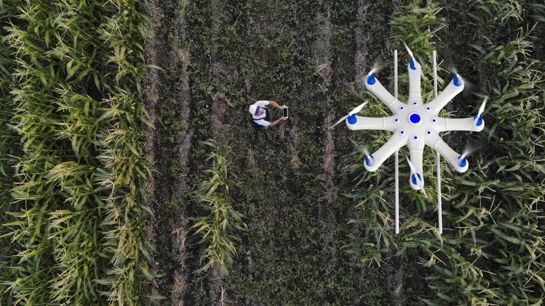 Trends and technologies in UK Agricultural Tech industry