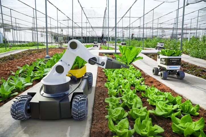 Trends and technologies in UK Agricultural Tech industry